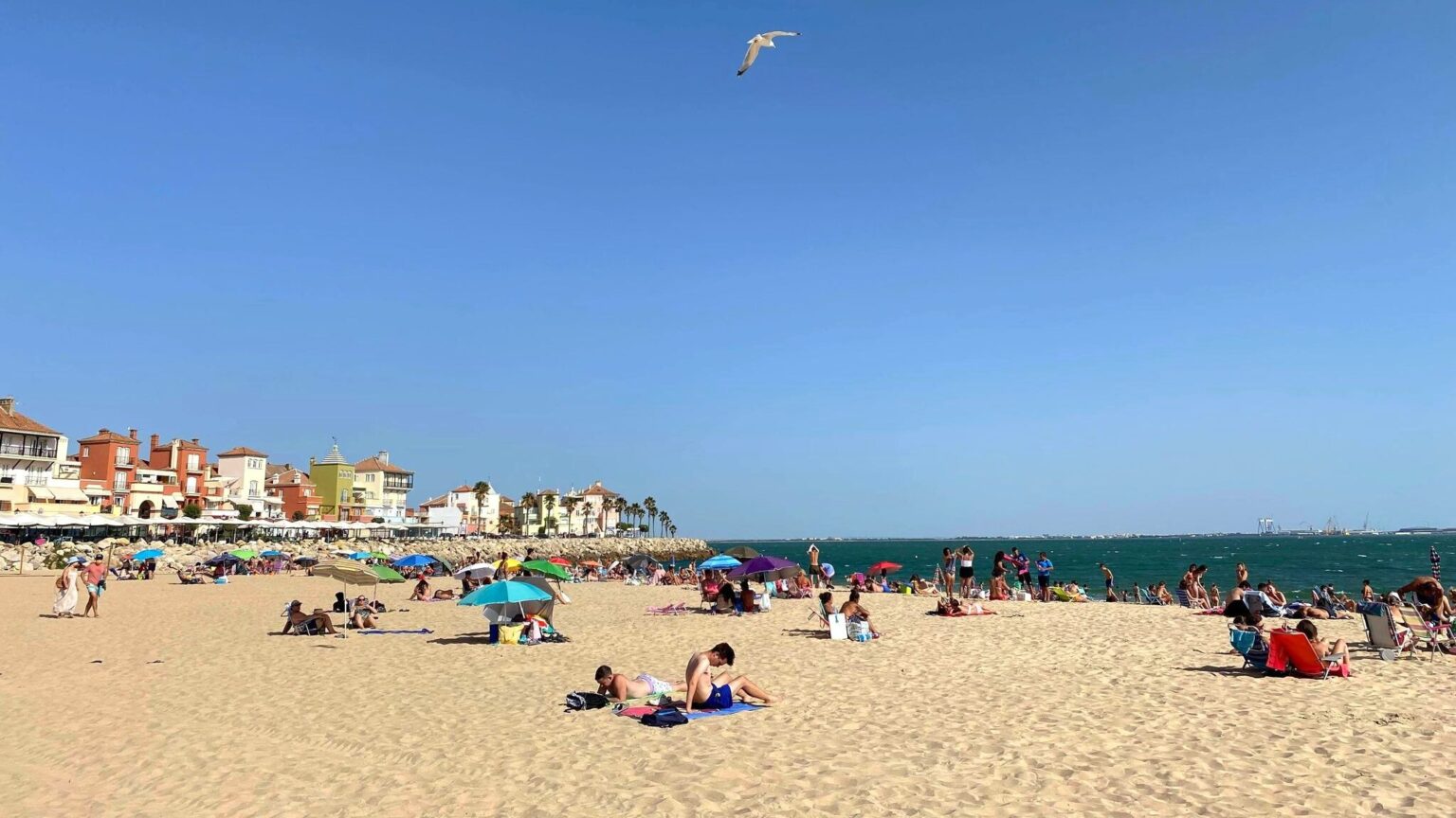 The Best Beaches in Cadiz You Can’t Miss | Krista the Explorer