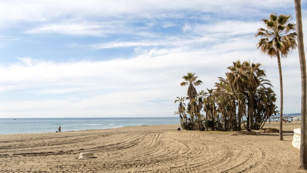 Ultimate Guide to the Best Things to Do in Estepona | Krista the Explorer